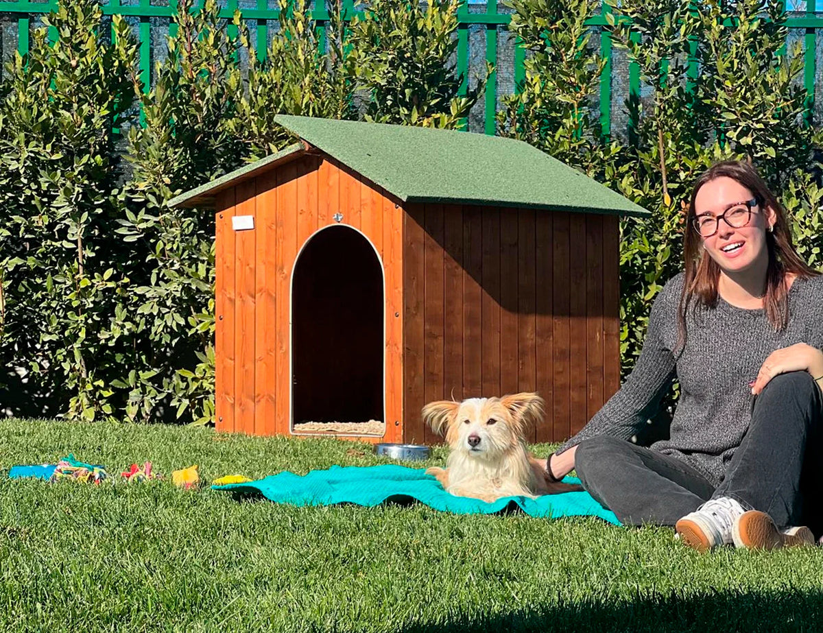 Amarsi un po': quando l'alimentazione diventa benessere per i nostri a ...